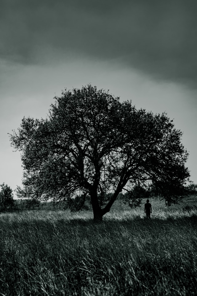 Understanding the Signs of Depression and How to Help - Be Inspired ...